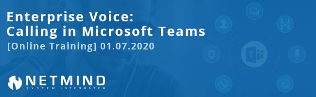 Go Deep on Microsoft Teams Enterprise Voice